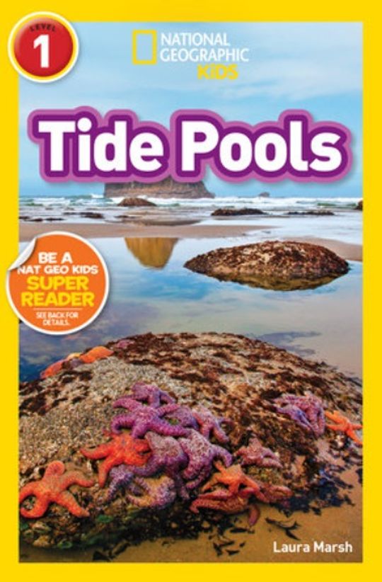 Tide Pools (Level 1) - Corner Bookstore