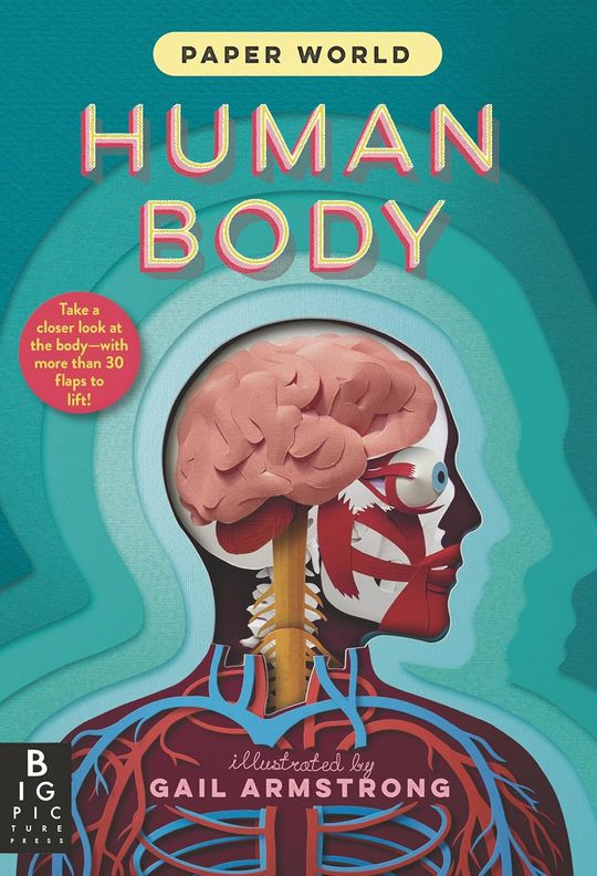 Paper World: Human Body - Corner Bookstore